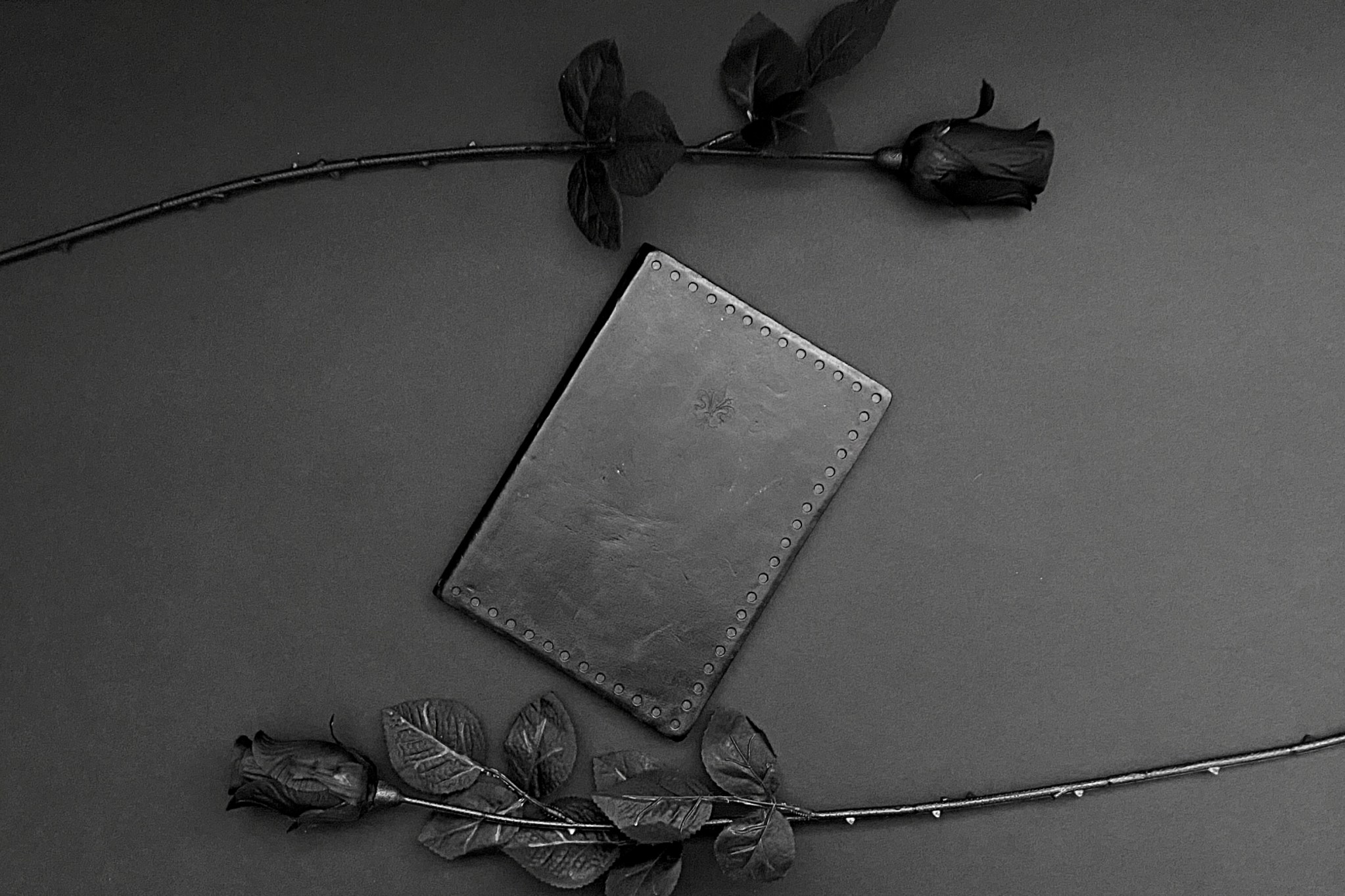 The Book Lair – Stock Photography for Authors & Bloggers